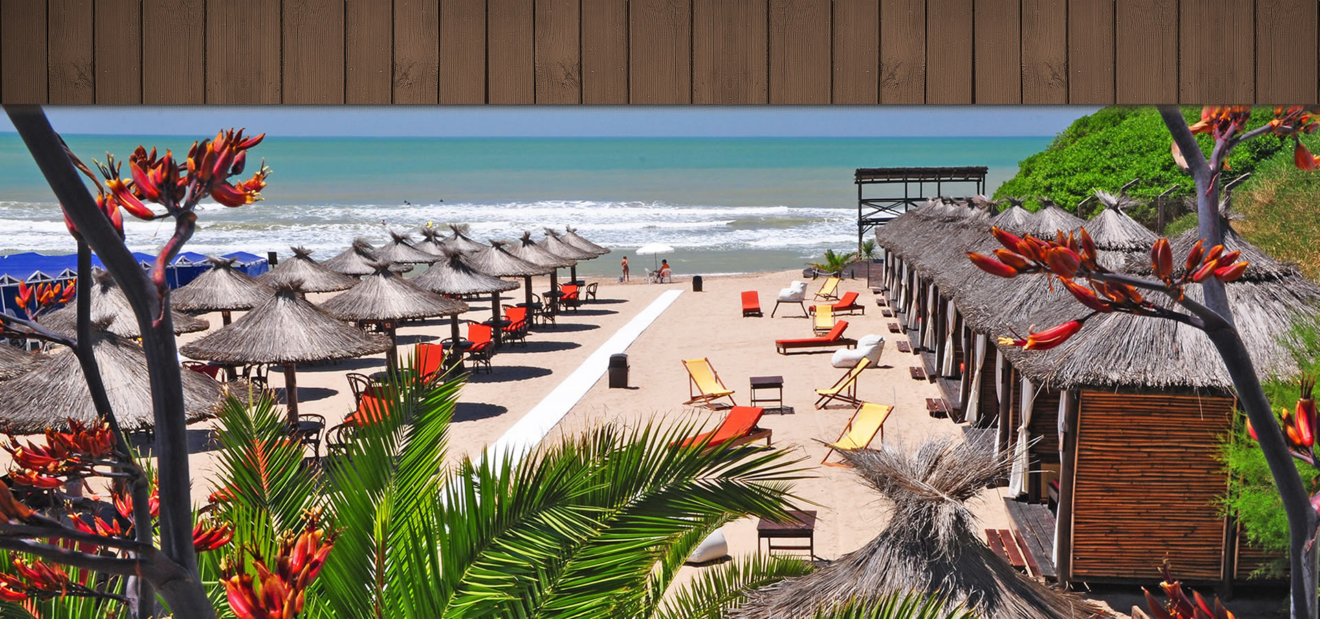 Home | Honu Beach